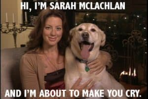 Sarah McLachlan ASPCA Meme - EntreResource.com