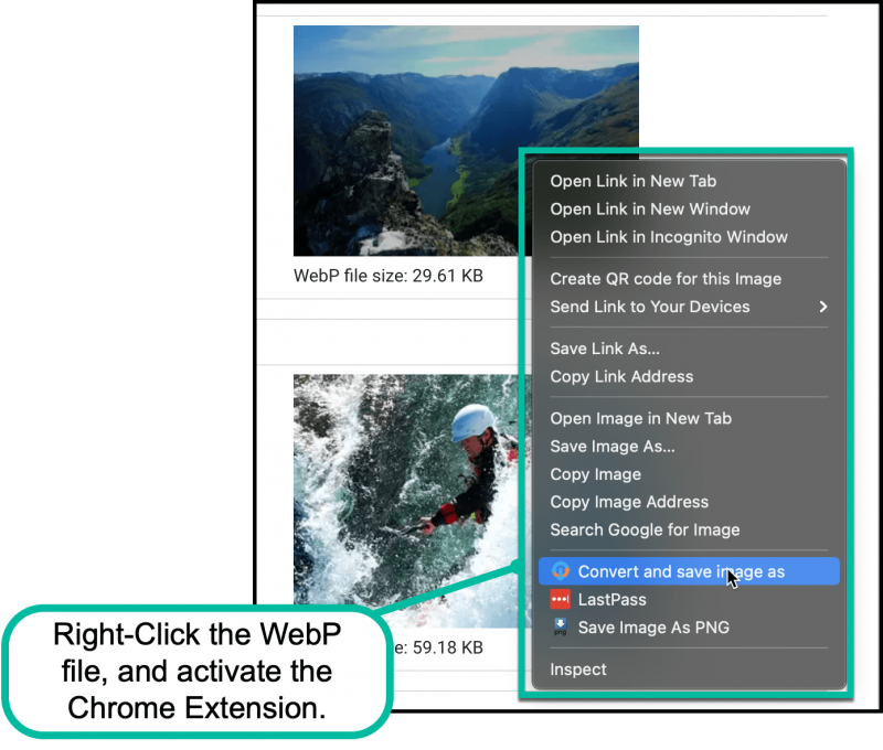 How to Convert an WEBP Image into a PNG Image - Fast and Easy Way