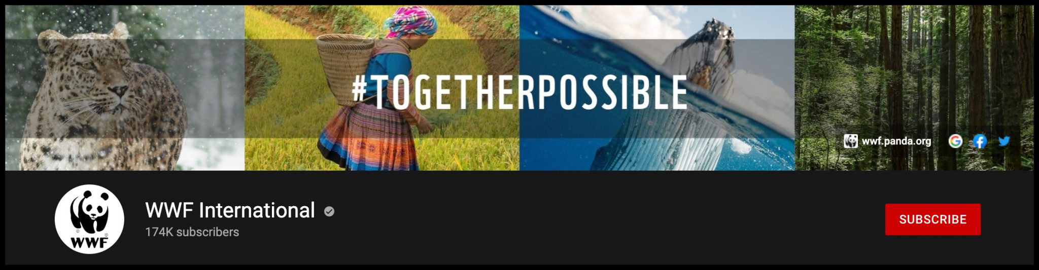 YouTube Video Categories – Full List Explained and Which You Should Use