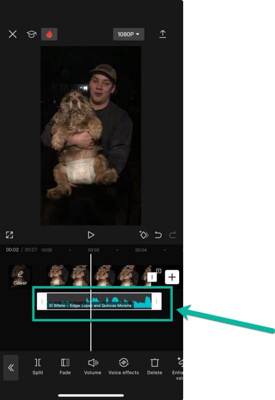[Guide] How to Use CapCut's Coolest Features (With Examples)