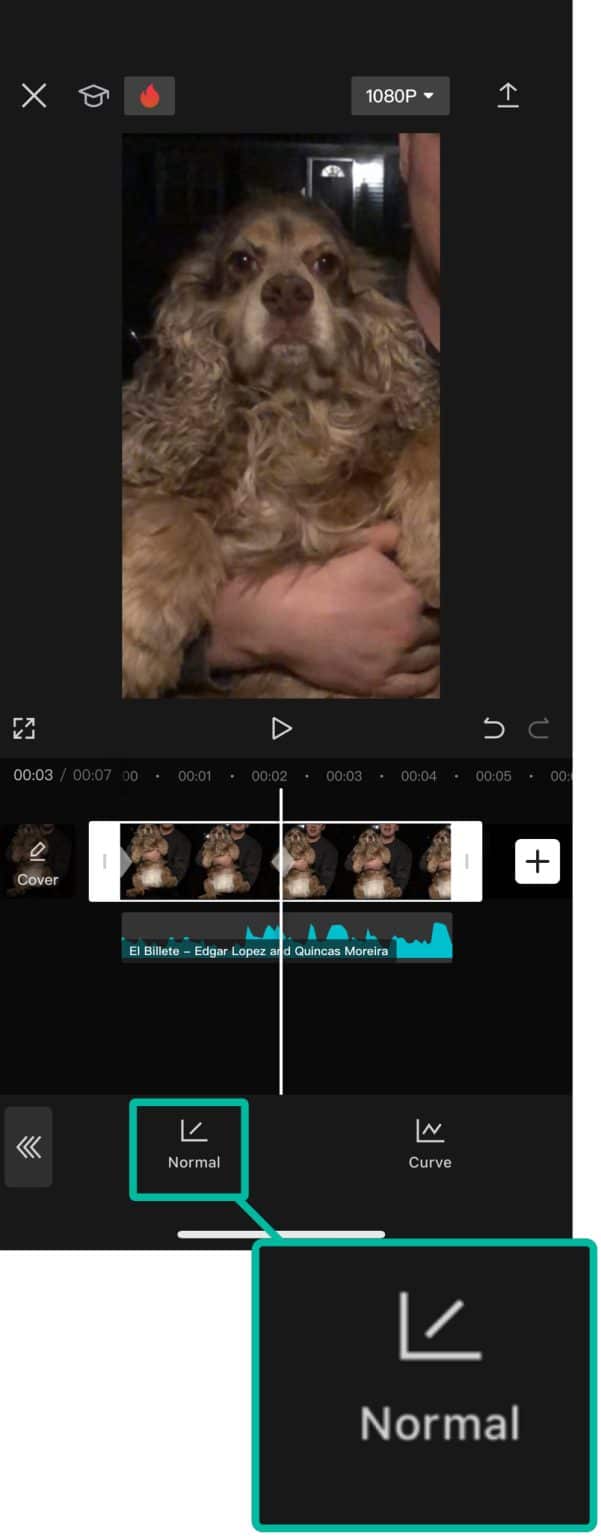 [Guide] How to Use CapCut's Coolest Features (With Examples)