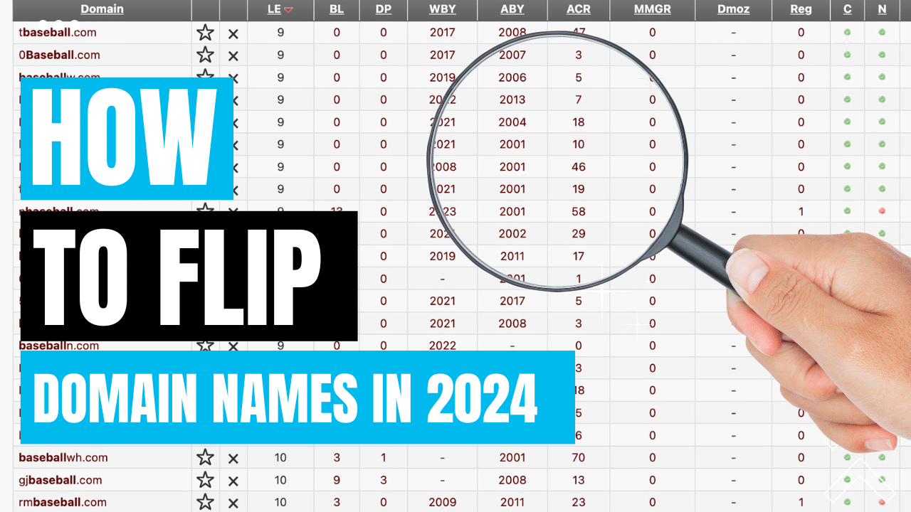 Domain Flipping 101 with Chris Green - How to Flip Domain Names for ...